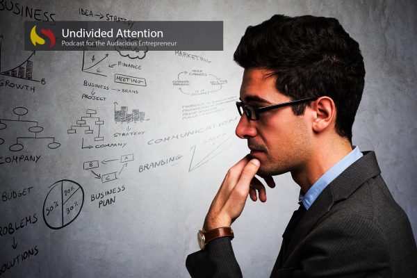 Undivided Attention – Success Training Institute