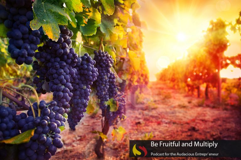 Be Fruitful and Multiply – Success Training Institute