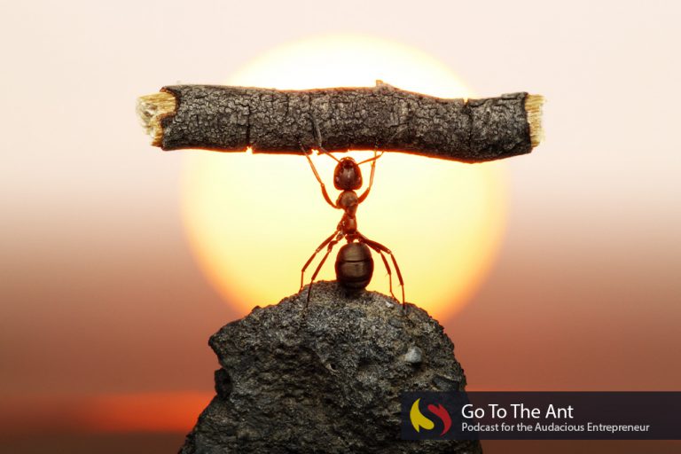 Go To The Ant – Success Training Institute